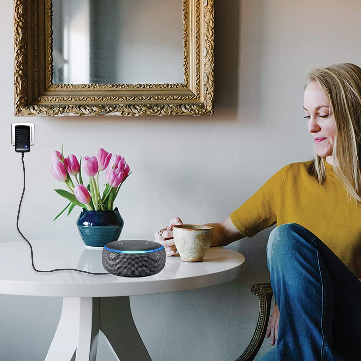 Hi-lite Essentials 15W 12V Power Adapter Charger for Amazon Alexa Echo ...